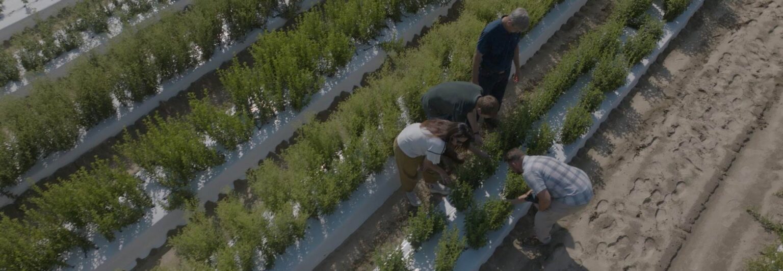 News – Plant Path